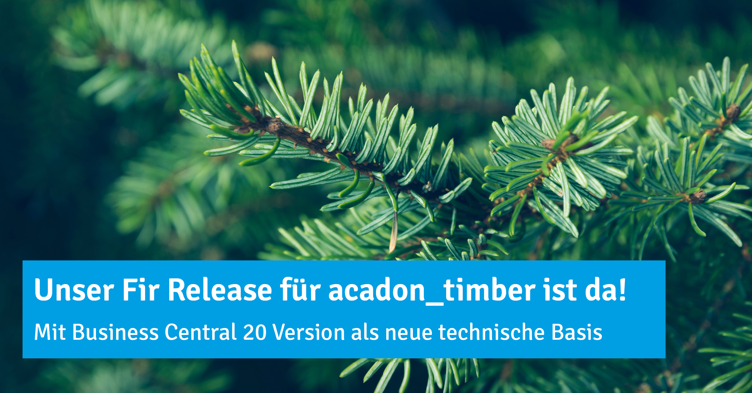 Fir Release